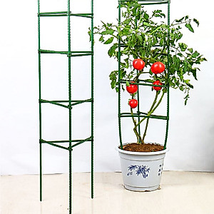 30PCS Stake Arms for Tomato Cage，Expandable Trellis Connectors-11.8" with 2 Buckles for Tomato Cage Attach 11mm Diameter Plant Stakes