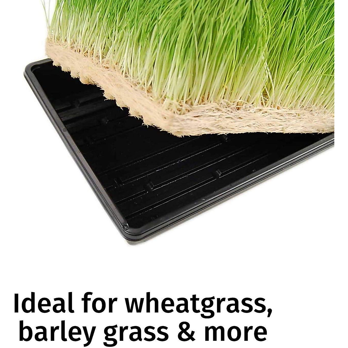 Micro-Mat Minis Hydroponic Grow Pads - for Organic Production - Plant & Seed Germination: Wheatgrass, Microgreens, More - Measures 4" x 4" to fit 5" x 5" Greenhouse Plant Trays (48)