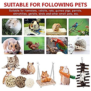 Magnoloran 12 Pack Hamster Chew Toys Set Hamster Exercise Accessories Small Animal Teeth Care Molar Toys Guinea Pig Pet Toys for Rabbit Bunny Chinchilla Guinea Pig Gerbils Groundhog Squirrels