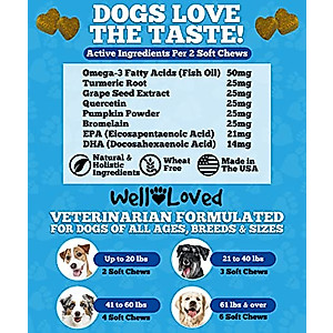 Well Loved Dog Allergy Chews - Dog Allergy Relief, Made in USA, Vet Developed, Hot Spot Treatment for Dogs, Dog Itch Relief, Anti Itch for Dogs, Dog Vitamins, Dog Skin Allergies Treatment, 120 Count
