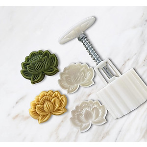 Fruit mid-autumn moon cake press mold, hand-pressed mooncake dessert DIY with 1 stamp flower, moon cake puff pastry press mold DIY (1 Chestnut Stamp-1)