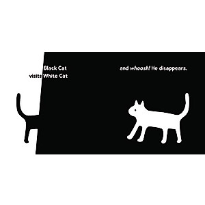 Black Cat & White Cat: A High Contrast Sensory Board Book About Opposites For Newborns and Babies