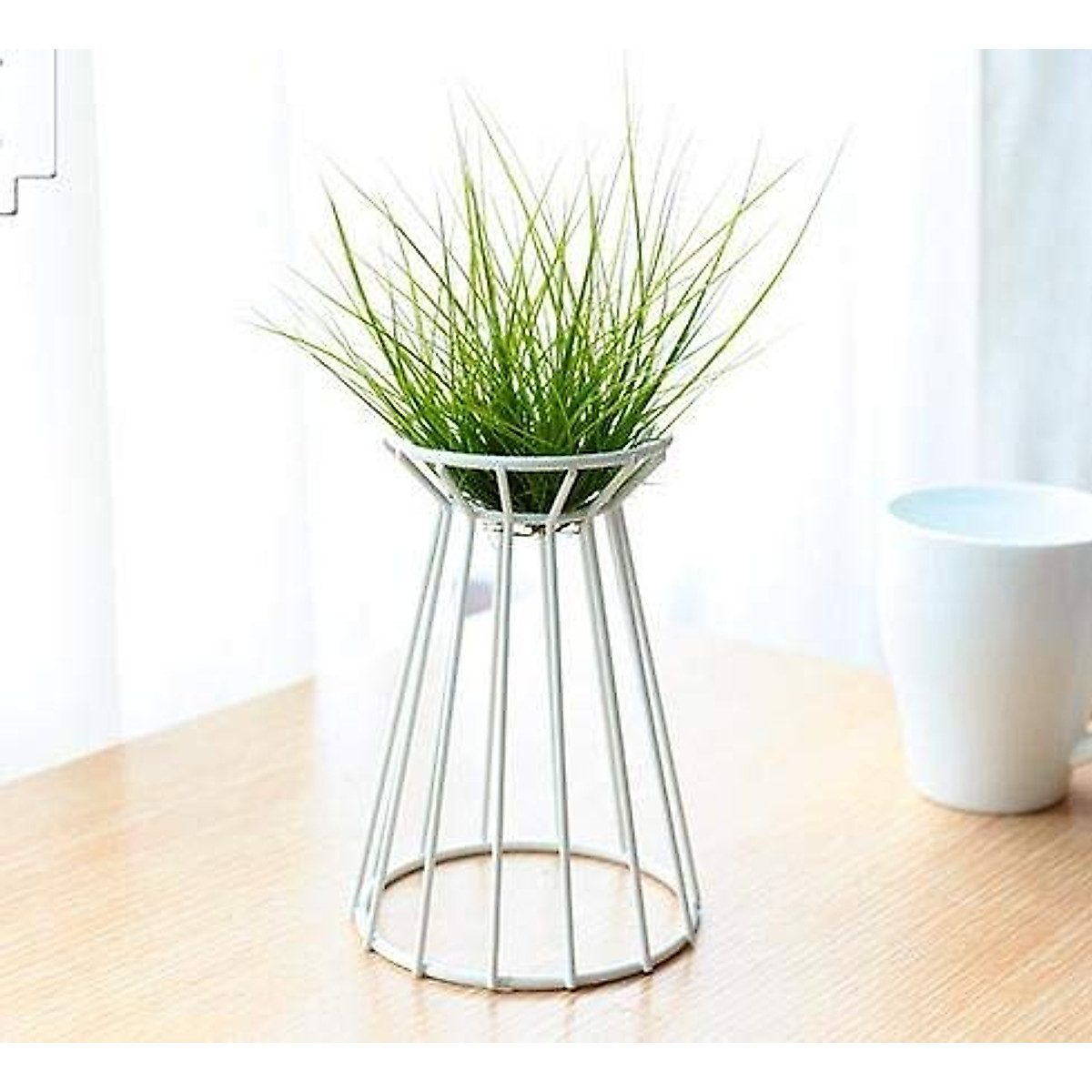 Mokylor Air Plant Tillandsia Base Large Holder Metal Indoor Tabletop Big Streptophylla Air Plant Stands Tillandsia Plant Racks Large Xerographica (White)