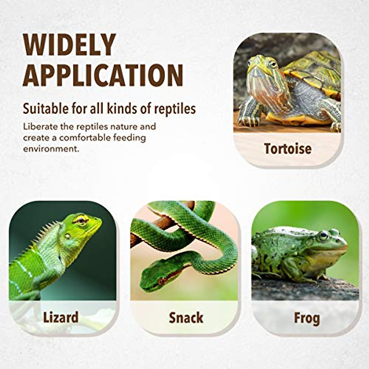 UEETEK Pets Feeding Plate Reptile Feeding Bowl Vivarium Food Water Dish Resin Bowl for Turtle Gecko Snake Pet Breeding Tray