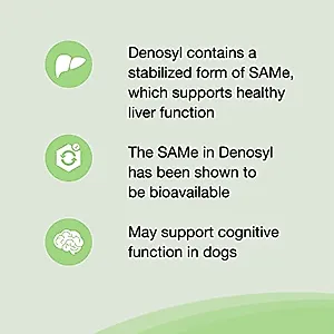 Nutramax Denosyl Liver and Brain Health Supplement for Large Dogs, With S-Adenosylmethionine (SAMe), 30 Tablets
