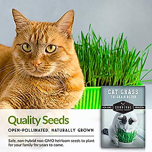 Survival Garden Seeds - Cat Grass Seed for Planting - Packet with Instructions to Plant and Grow Greens for Your Pet Indoors or Outdoors in a Container or Garden - Non-GMO Heirloom Variety