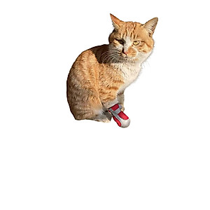 LONSUNEER Dog Boots for Small Dogs Soft Reflective and Nonslip Set of 4 (Small, Red)