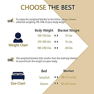 Mr. Sandman Minky Sherpa Weighted Blanket 15 lbs for Adults, Cozy Fluffy Heavy Blanket Throw Twin/Full Size, Great for Relax and Calming - 48''x72'', Grey