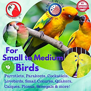 Bonka Bird Toys 3858 Duo Natural Boxy Eddy Foraging Shred Small Medium Bird Toy Cardboard Waffle Crinkly Paper Conures Parakeets African Greys and Other Similar Birds