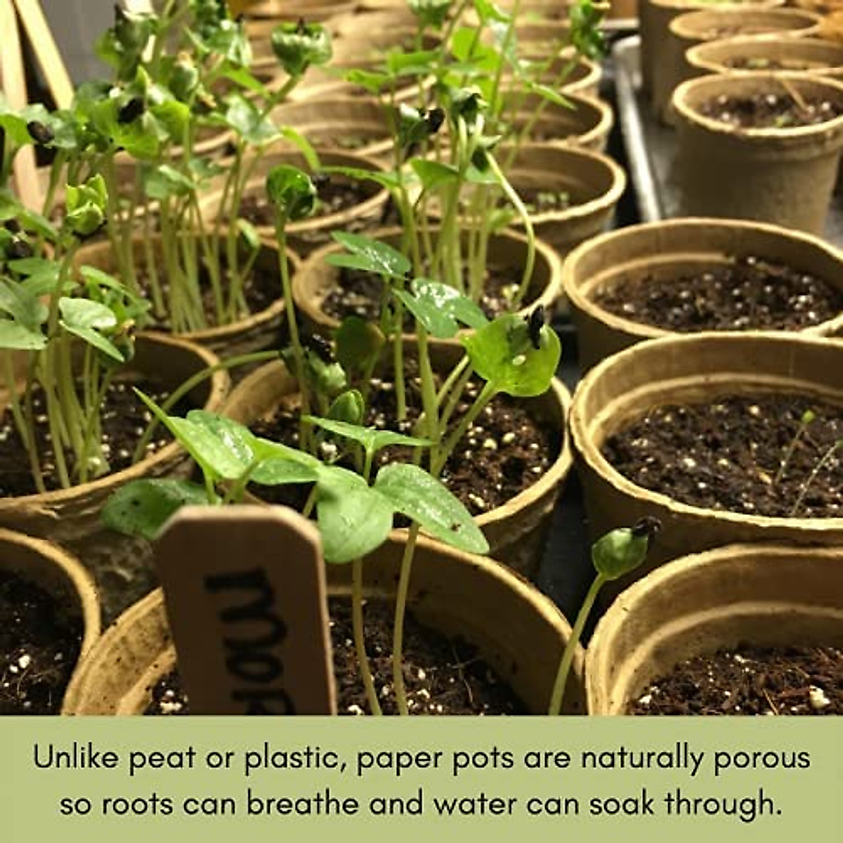 Clovers Garden Organic Recycled Paper Seed Starter Pots - 100% Biodegradable Peat-Free Pots for Seedlings - 60 (3.5" Round) Germination Pots with 24 Markers - Eco Friendly Ideal for Organic Gardening