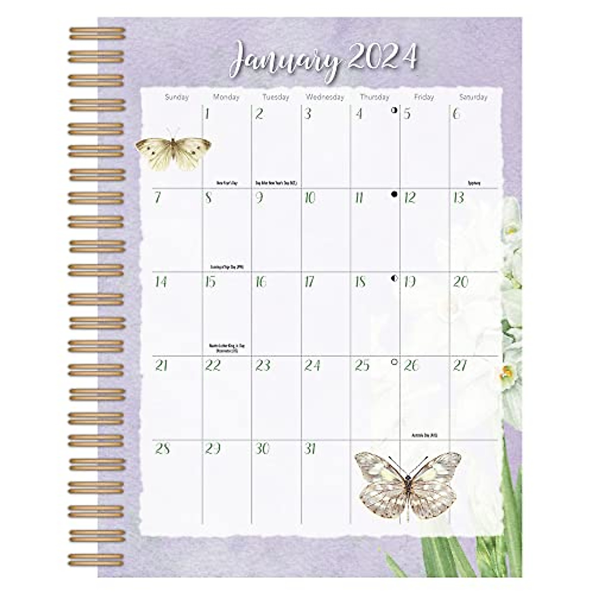WSBL Butterflies 2024 File-It™ Planner (24997071007)