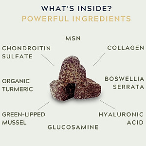 Pure Dogs Hip & Joint Supplement for Large Breed & Small Breed - Dog Joint Pain Relief Chews for Function & Mobility - Glucosamine Chondroitin for Dogs Gut & Digestive Support - 90 Dog Joint Chews