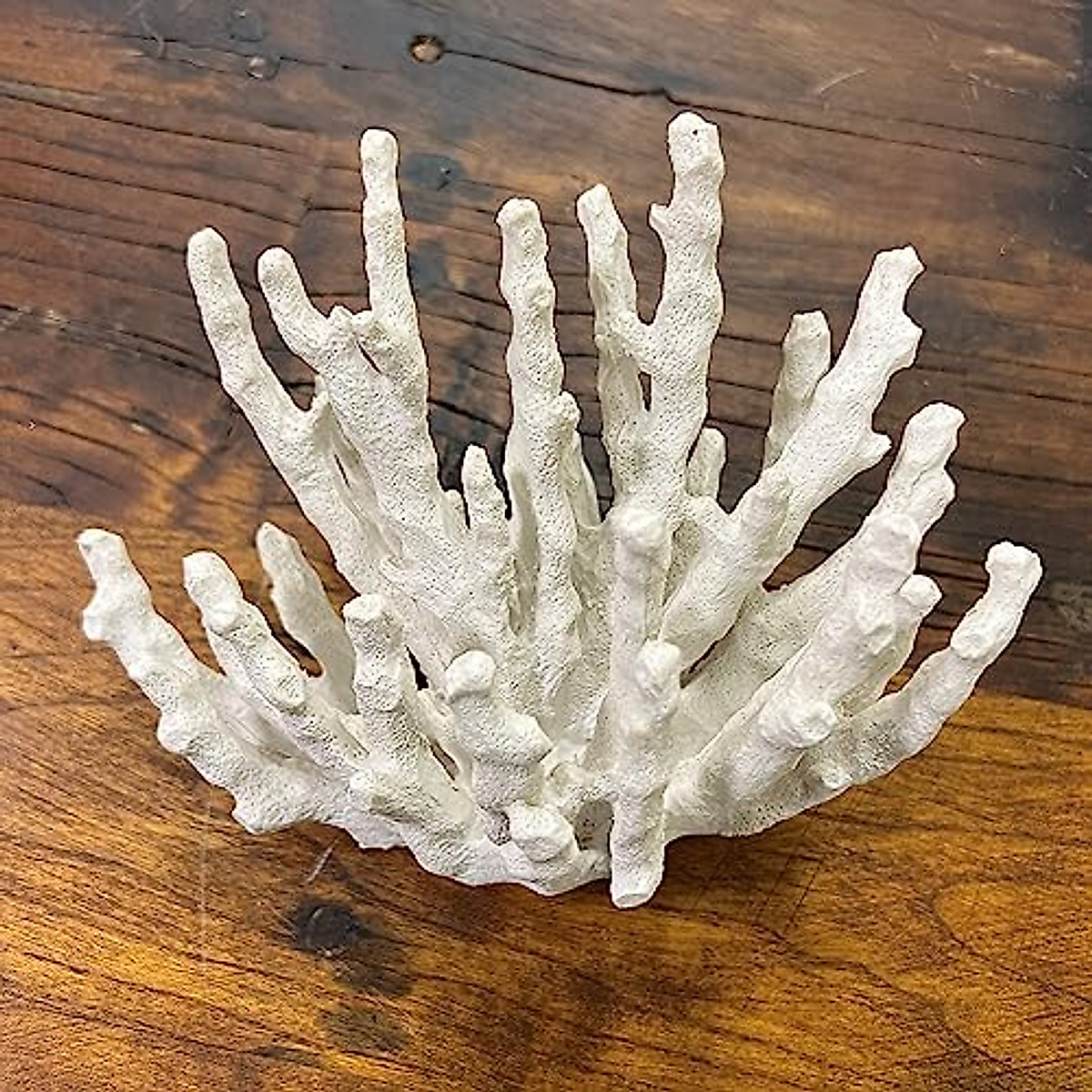 Abbott Collection 20-SEASHORE/40 Large White Flower Coral Decorative Resin Figurine