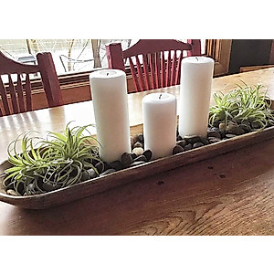 Artificial Air Plants Faux Succulents Plants Unpotted Small Tillandsia Look Real in Flocked Green Premium Crafting DIY Floral Decor for Home Garden Office Party, 3 pcs