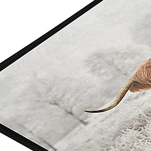 Area Rug Scottish Highland Cow Non-Slip Washable Home Western Decor Indoor Bathroom Kitchen Long Floor Door Mats Festival Party dormate39x20inch