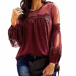 Mayntop Womens Tops Shirt Jacquard Bishop Sleeve See-Through Broderie Anglaise Solid Color Plain Transparent Long Sleeve Loose Blouse(A Wine Red,3XL)