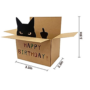 AMINORD Birthday Card - Cat Birthday Card for Men Women - Funny Happy birthday Card for Friends