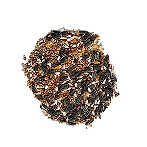 Wagner's 62034 Greatest Variety Blend Wild Bird Food, 6-Pound Bag & 62067 Deluxe Treat Blend Wild Bird Food, 4-Pound Bag