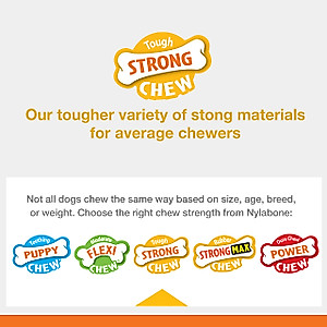 Nylabone Strong Chew Sneaky Snacker Treat Toy for Dogs, Interactive Dog Enrichment Chew Toys, Bacon Flavor, Large/Giant - Up to 50 lbs. (1 Count)