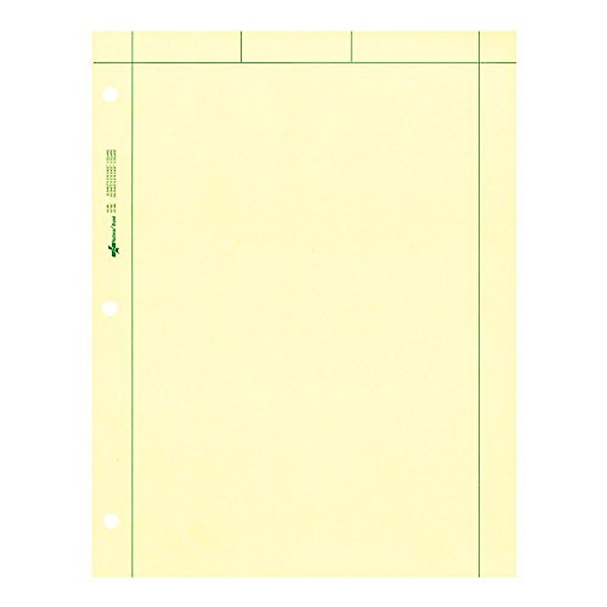 National Computation Pad, 5 x 5 Quad Ruling and Unruled, 8.5" x 11", 200 Sheets (42389), Green
