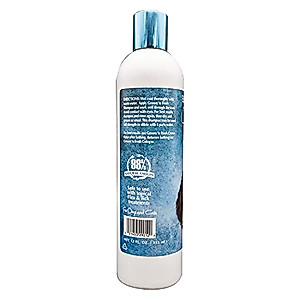 Bio-Groom Groom 'N Fresh Dog and Cat Conditioning Shampoo, 12-Ounce