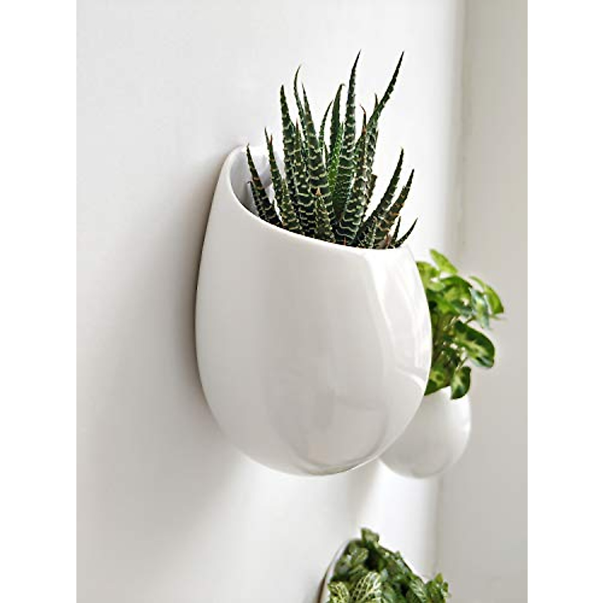 Mkono 4 Inch Wall Mounted Planter Round Ceramic Hanging Plant Holder Decorative Flower Display Vase Succulent Pots for Indoor Plants, Set of 3, White (Plants NOT Included)