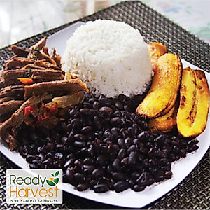 Ready Harvest Quick-Cook Dried Black Beans Canned Dried Black Beans Dried Beans Dry Beans|Emergency Food Supplies Survival Food Emergency Food Rations #10 Can 25-Year Shelf Life 3 lbs