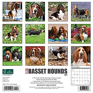 Just Basset Hounds 2021 Wall Calendar (Dog Breed Calendar)