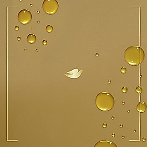 Dove Body Wash for Dry Skin Dryness Relief Effectively Washes Away Bacteria While Nourishing Your Skin 22 oz (Pack of 4)