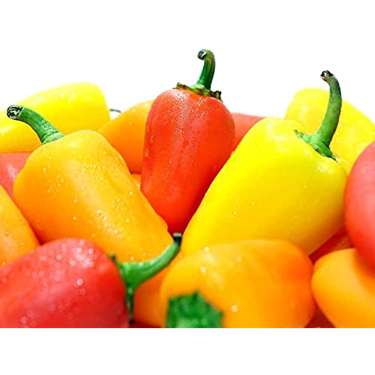 Santa Fe Grande Pepper Seeds for Planting, 50+ Heirloom Seeds Per Packet, (Isla's Garden Seeds), Non GMO Seeds, Botanical Name: Capsicum annuum, Great Home Garden Gift