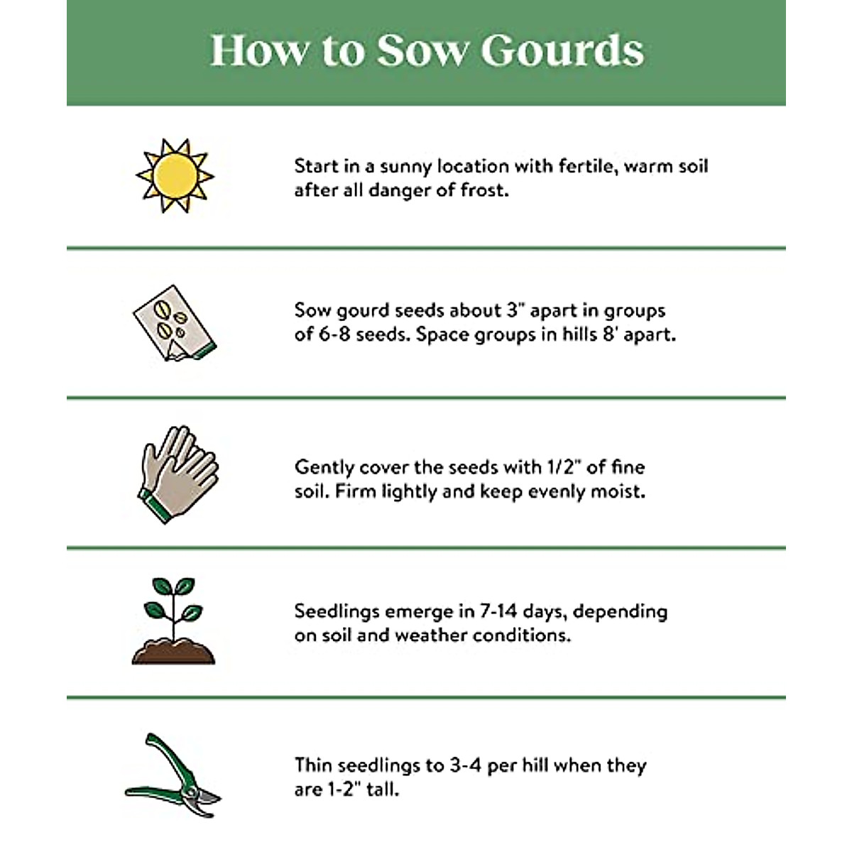 Burpee Ornamental Luffa Gourd Seeds 25 seeds