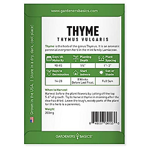 Thyme Seeds for Planting is A Heirloom, Non-GMO Herb Variety- Thymus Vulgaris Herb Seeds Great for Indoor and Outdoor Gardening by Gardeners Basics