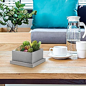 MyGift Modern Gray Concrete Square Planter - Succulent Plant Pot with Bottom Drainage Hole and Removable Drip Tray Saucer