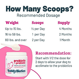 Buddy Biotics Probiotic + Prebiotic for Dogs- Gut Flora Health, Digestive and Immune Health, Diarrhea and Bowel Support – 5 Billion CFU per Scoop