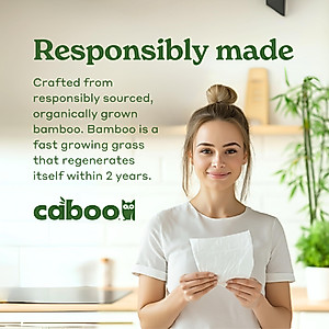 Caboo Tree Free Bamboo Paper Napkins, 4 Packs of 250, 1000 Total Napkins, Eco Friendly, Sustainable, and Disposable Kitchen Napkins
