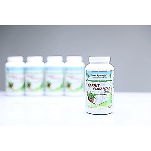 CAIRA Yakrit Plihantak Churna Advanced - Ayurvedic Medicine for Fatty Liver (Pack of 1) 200 g.