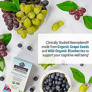 Garden of Life Dr. Formulated Brain Health Memory & Focus for Adults 40+, 60 Count