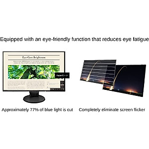 EIZO FlexScan EV2456 24.1" Professional IPS LCD Monitor 1920x1200 EV2456FX-BK