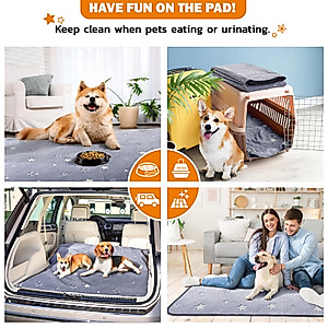 LOOBANI Washable Pee Pads for Dogs, Reusable Pee Pads for Dog Mat Puppy Pads Training Pads Non Slip Whelping Pad for Dog Playpen, Crate, Car, Grey 2 Pack 36 x 41 in