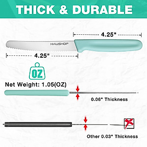 HAUSHOF Steak Knives Set of 4, Serrated Steak Knives, Premium Stainless Steel Steak Knife Set with Gift Box, Assorted Color