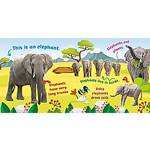 First Animal Facts: Safari-5 Button Animal Sounds Book