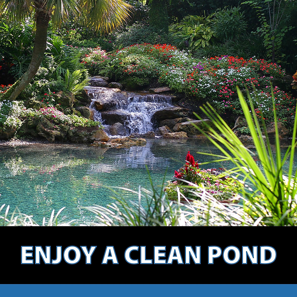 CrystalClear MuckOff, Natural Pond Muck Treatment, Water Garden, Fountain & Bird Bath Sludge Remover, Living Beneficial Bacteria Clarifier with Enzyme, Fish, Aquatic Animal, & Pet Safe, 48 Tablets