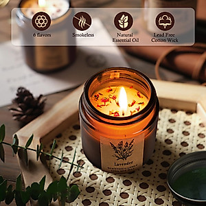 12 Pack Scented Candles for Home Aromatherapy Candle Gift Set for Women Soy Wax Jar Candles Bundle Gift for Christmas Holiday Birthday Mother's Thanksgiving Day Present
