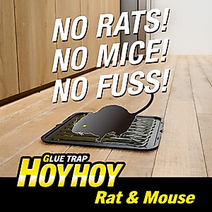 HOY HOY Rat & Mouse Jumbo Size Glue Trap 6 Traps [3-Pack] - Heavy-Duty Professional Strength Ready-to-Use Rodent Pest Control, Great for Home with Kids & Pets Indoor Household Pests