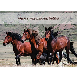 CPG Card-Boxed-Shared Blessings-Birthday Wild Horses (Box of 12)