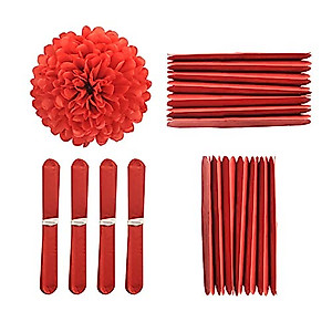 MISU 10" Red Tissue Pom Poms DIY Tissue Paper Flowers for Birthday Wedding Baby Shower Tea Party Dessert Table Decoration, Pack of 18