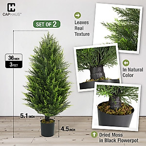 Fencer Wire 3 Feet, 36 Inch Artificial Cedar Tree Set of 2, Natural Faux Plants for Outside Planters, UV Resistant, Fake Boxwood Topiary with Dried Moss, Artificial Tree Indoor, Outdoor Patio Decor