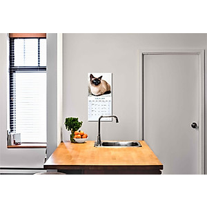 2023 2024 Siamese Cats Calendar - Cute Animal Monthly Wall Calendar - 12 x 24 Open - Thick No-Bleed Paper - Giftable - Academic Teacher's Planner Calendar Organizing & Planning