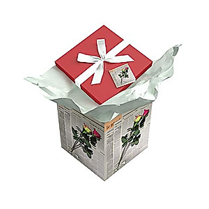 Gift Box 10"X10"X10" - Les Roses Collection - Easy to Assemble & Reusable - No Glue Required - Ribbon, Tissue Paper, and Gift Tag Included - EZ Gift Box by Endless Art US