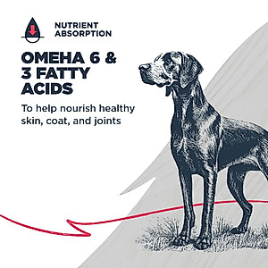 Blackwood Grain Free Dry Dog Food, Salmon & Field Pea Recipe, 4.5 Pound Bag for All Life Stages, Slow Cooked with Vitamins & Minerals for a Balanced Diet